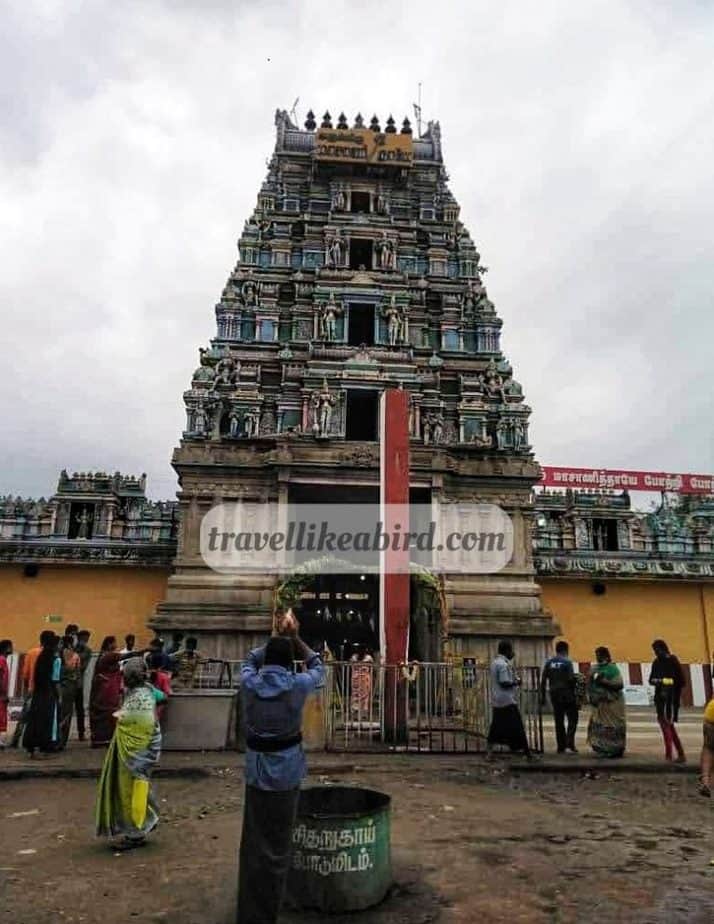 Why Arulmigu Masani Amman Temple is very famous | Pollachi