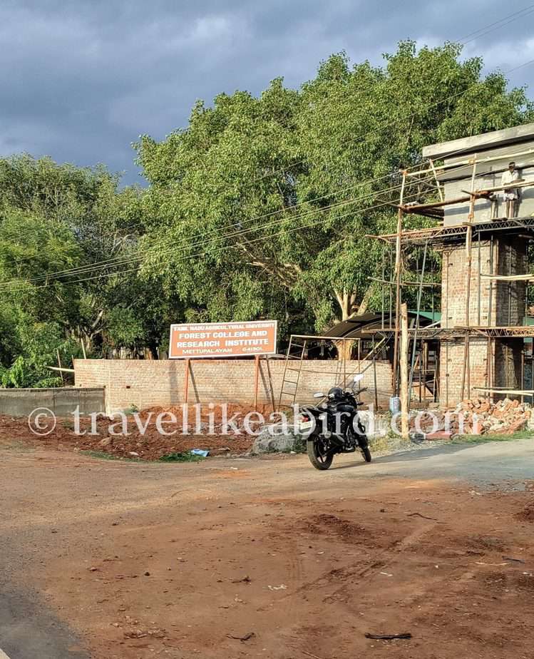 Mettupalayam View Point, Kotagiri Road - Travel Like a Bird