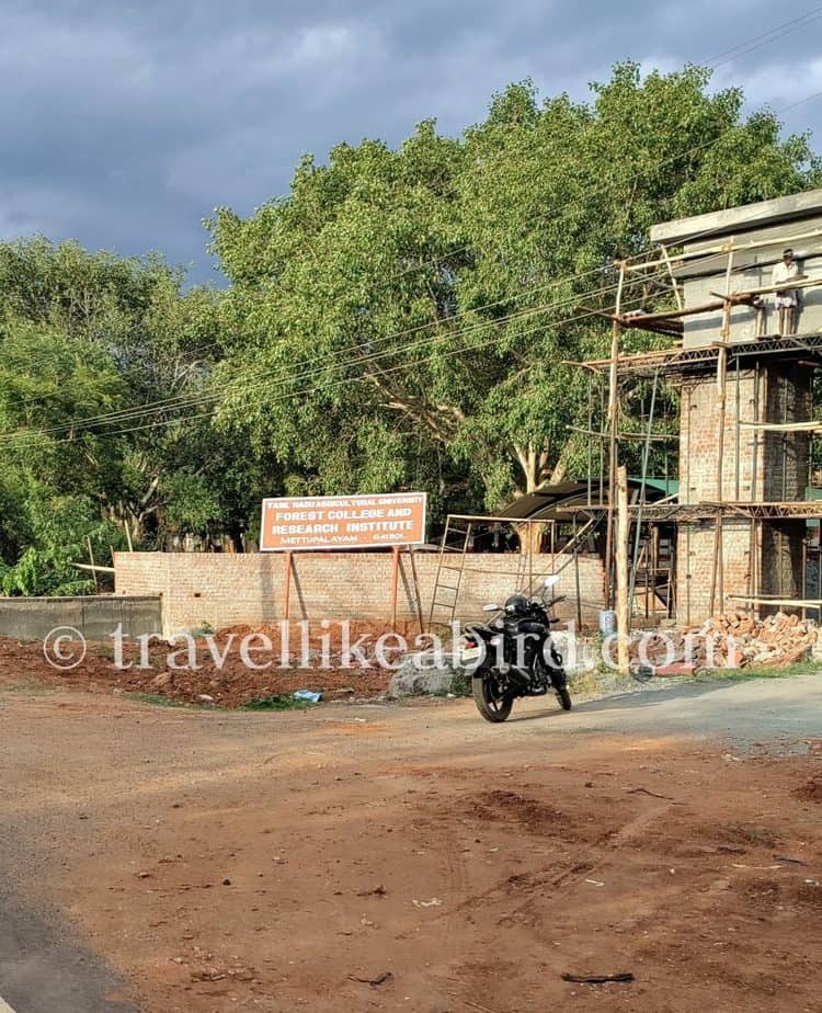 Mettupalayam View Point, Kotagiri Road - Travel Like a Bird