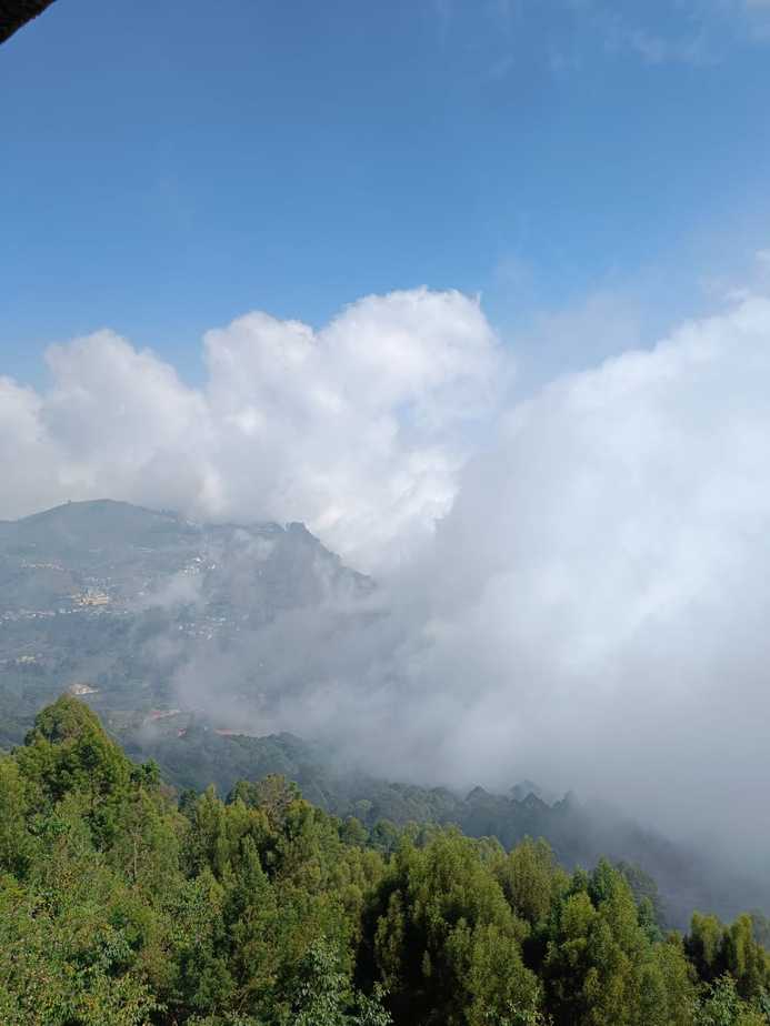 Best things about Coakers Walk | Kodaikanal - Travel Like a Bird