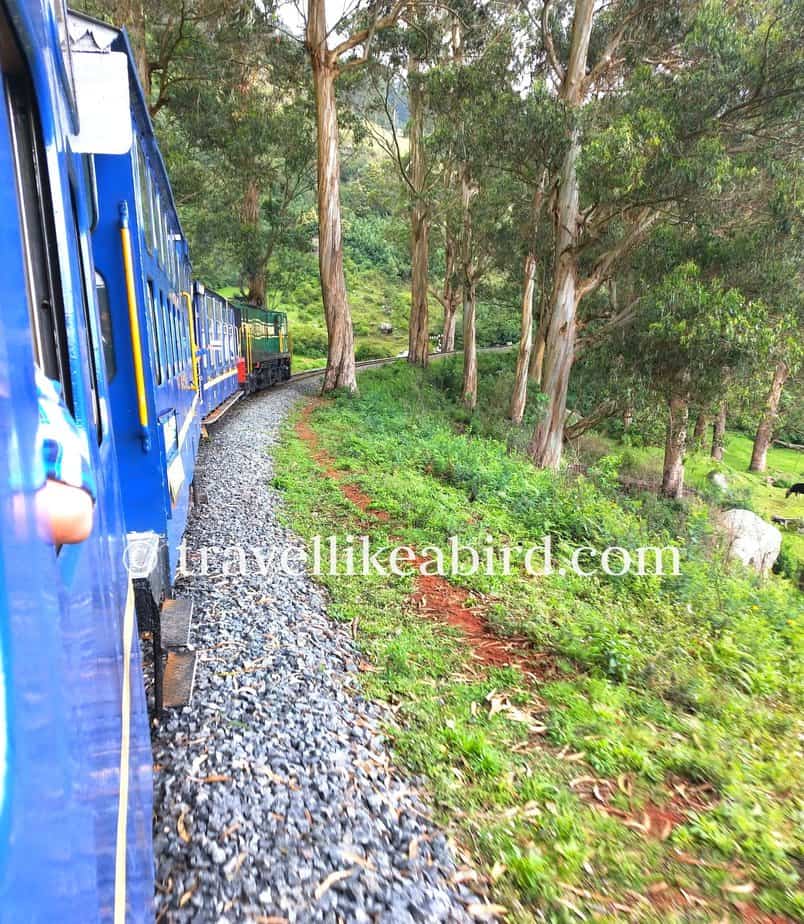 Nilgiri Mountain Railway | A world Heritage Train