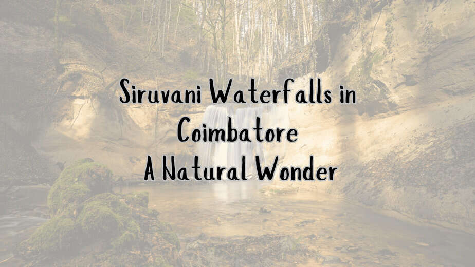 Siruvani Waterfalls in Coimbatore: A Natural Wonder - Travel Like a Bird