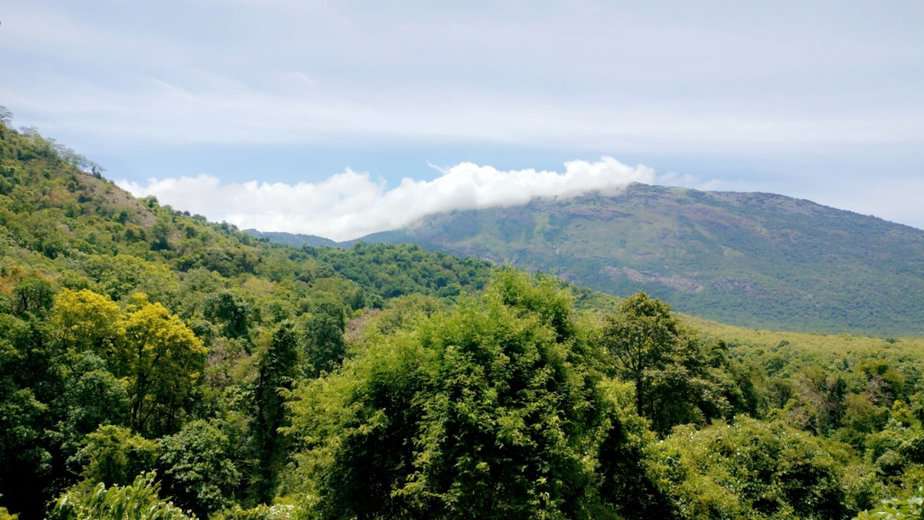 Siruvani Waterfalls in Coimbatore: A Natural Wonder - Travel Like a Bird